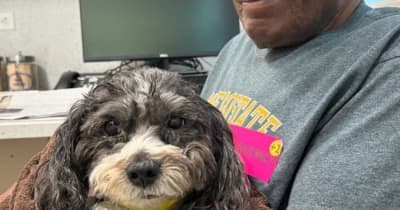 Al Roker absent from ‘Today’ show as his dog was having emergency op ...