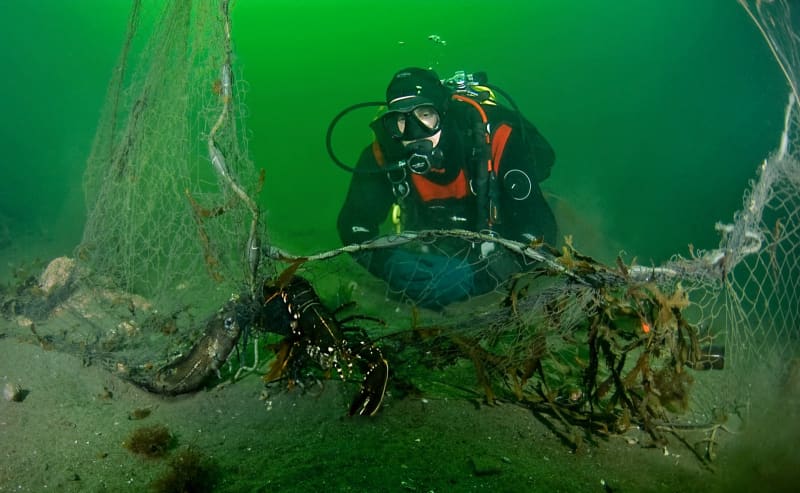 WWF「幽霊漁具」連携し対応を ブイやロープなど、生物が犠牲に ｜ 共同通信