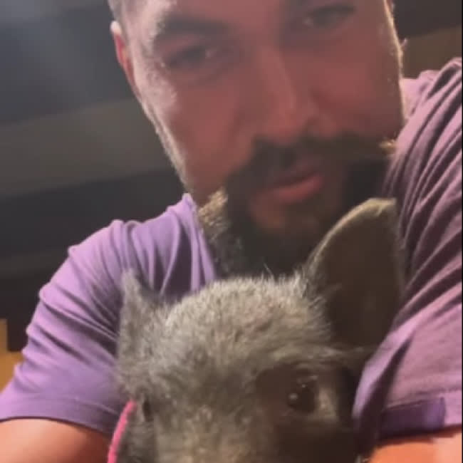 Jason Momoa brings home wild pig from Slumberland filming ｜ BANG ...